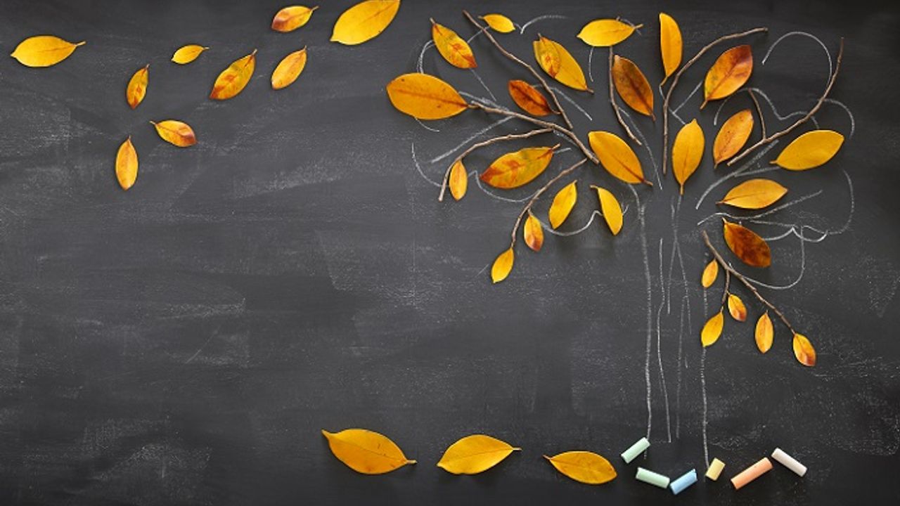 Neslin dirilişi ve öğretmen - Dünya Bizim Kültür Portalı