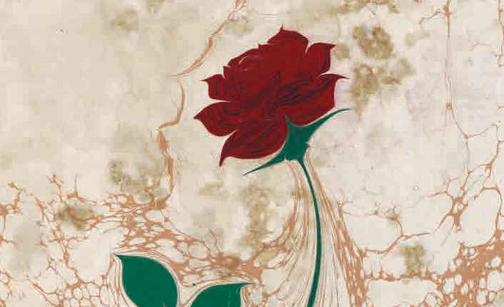 Söylenenlerin aksine sevgiden maraz doğmaz - Dünya Bizim Kültür Portalı